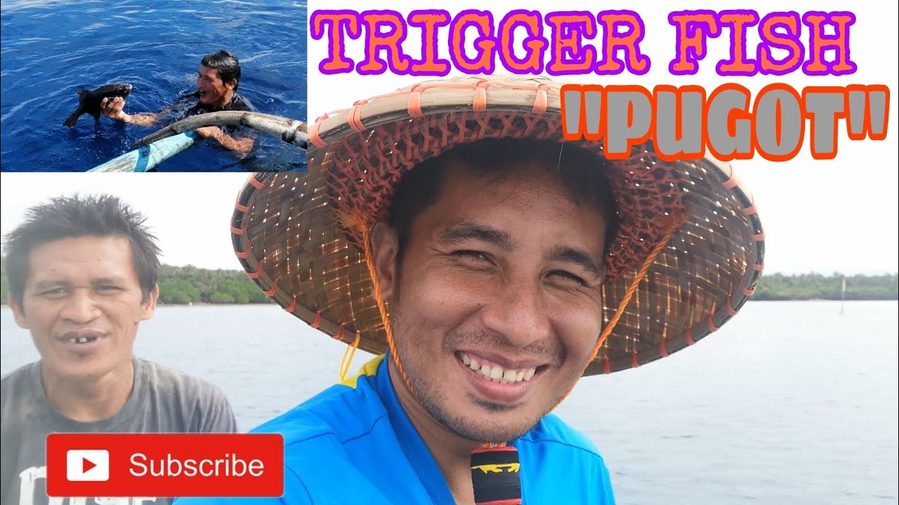 Our catch (TRIGGER FISH) Pugot - YouTube