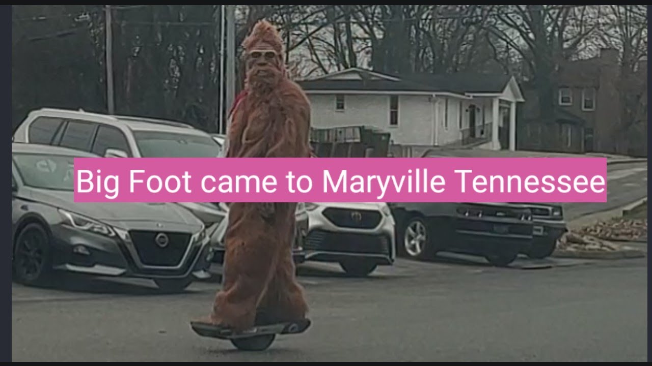 Turtle man comes to Maryville Tennessee March 4, 2024 - YouTube