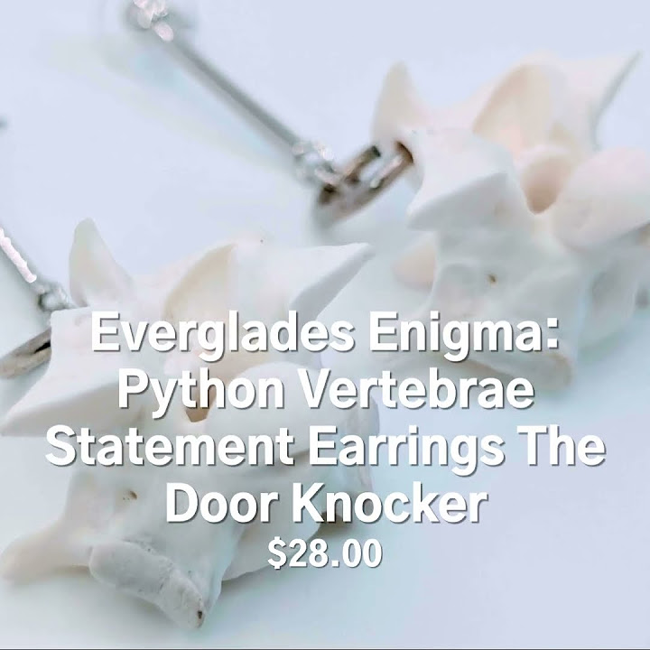 Everglades Python Vertebrae Statement Earrings - YouTube