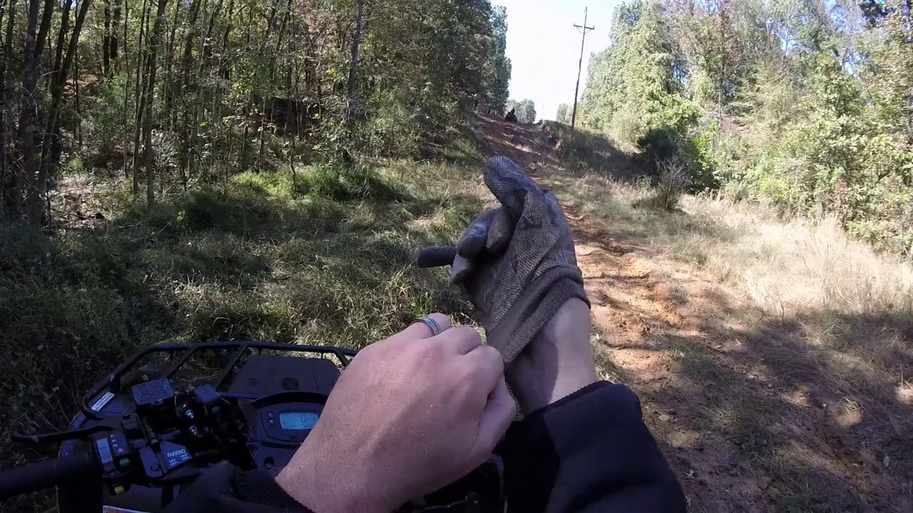 Southern Illinois ATV trail riding Little Egypt Off Road part 3 - YouTube