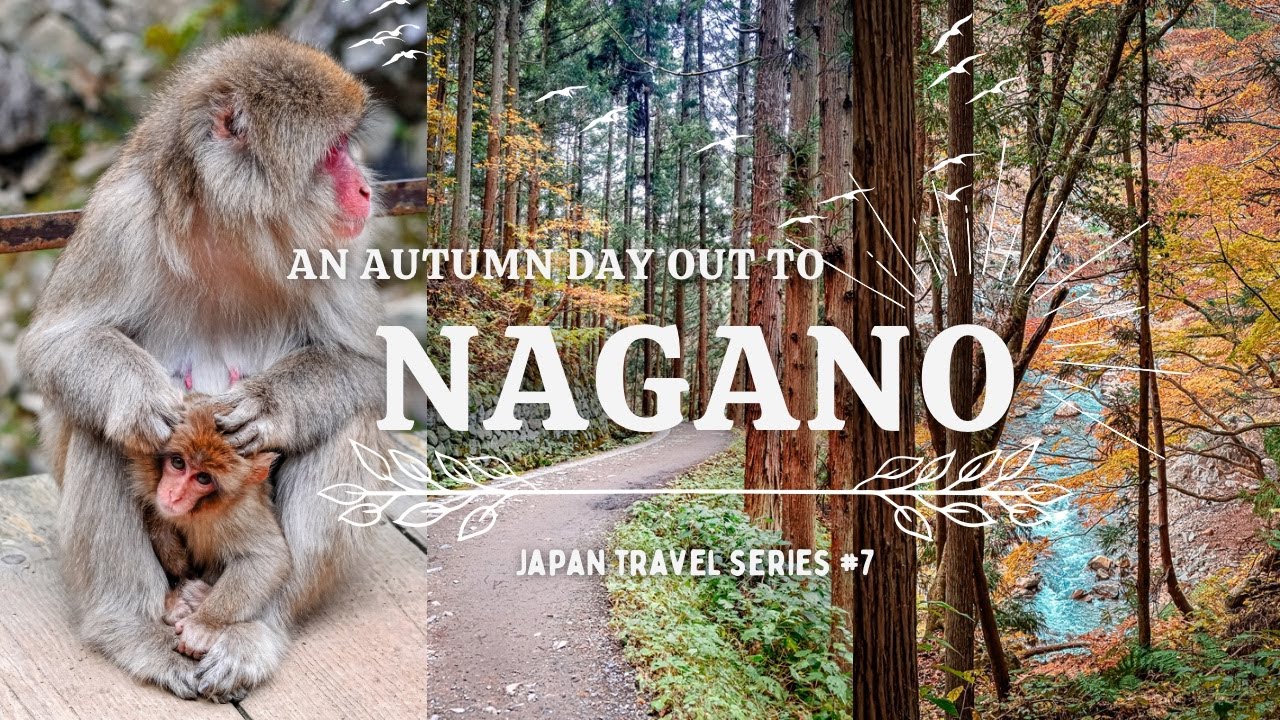 AUTUMN DAY TRIP TO NAGANO | Visiting the famous Monkey Park | ft ...