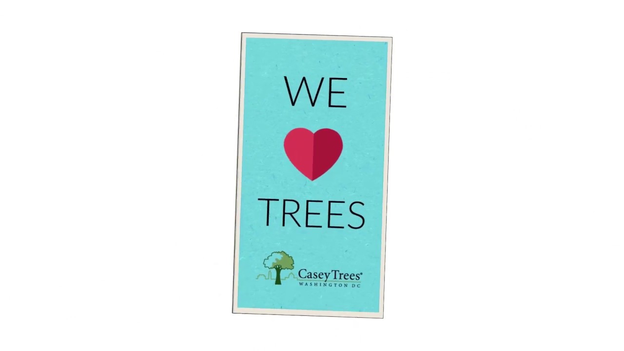 Take Action for Trees in D.C. - YouTube