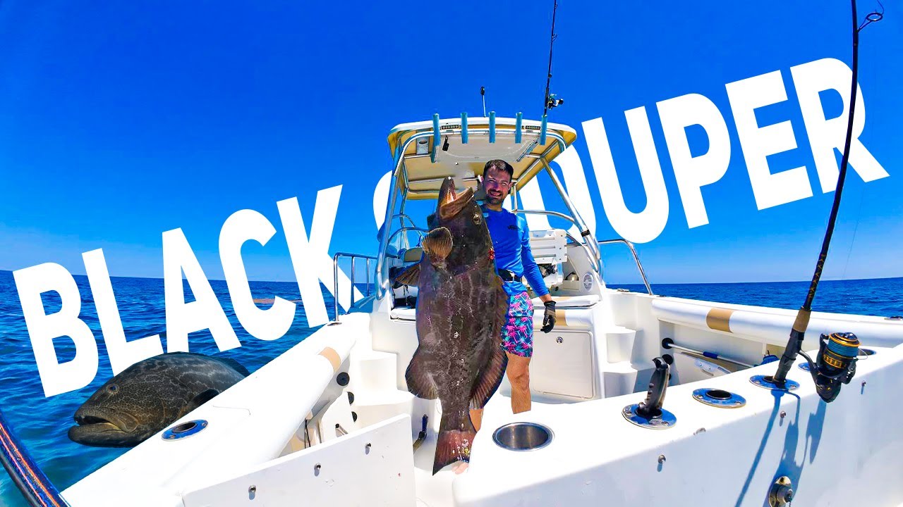 Spearfishing Surprise | Unforgettable Encounter While Hunting Black ...