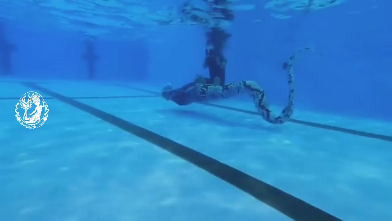 Female snake underwater - YouTube