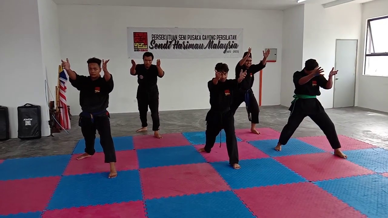 SENDI HARIMAU | SENAMAN ANAK HARIMAU 31-49 - YouTube