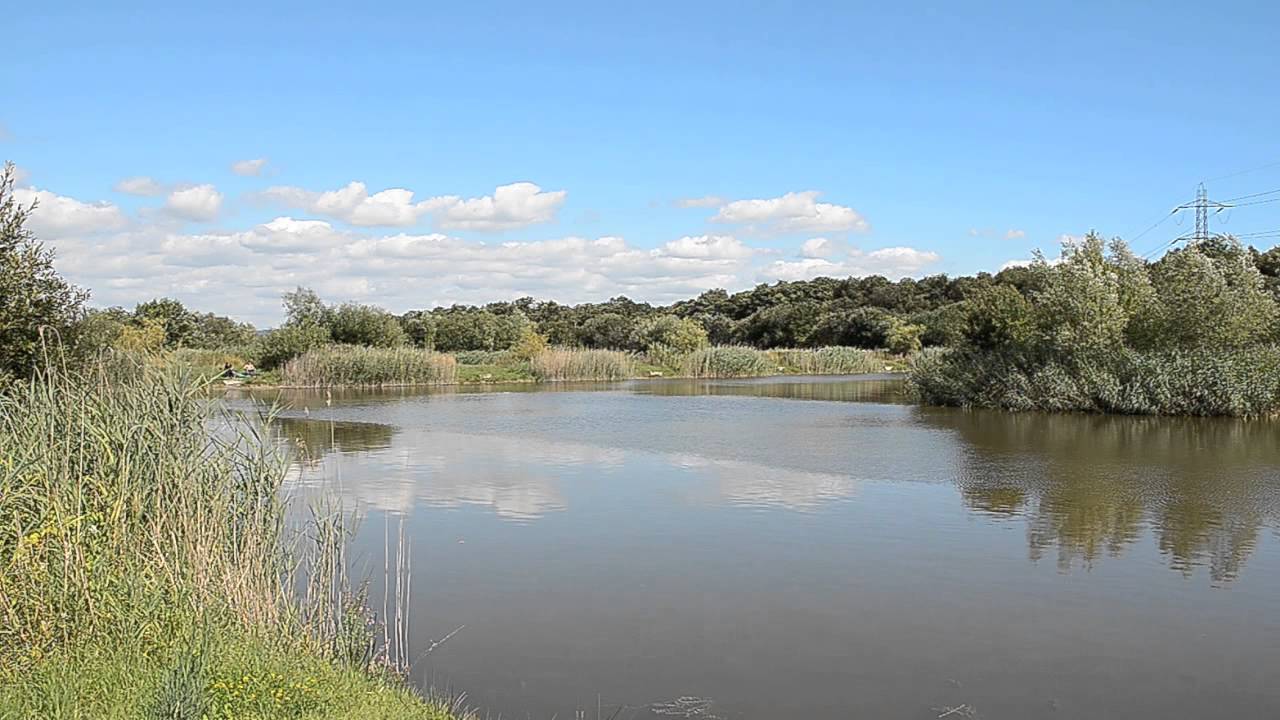 BURTLE LAKES, BURTLE, WESTHAY, SOMERSET - YouTube