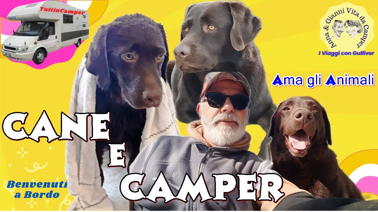 🚚 Il Cane e il Camper 🦮 Viaggiare con il nostro amico a 4 zampe I ...