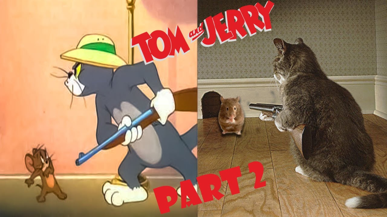TOM🐱 and JERRY🐭 in Real Life 💥 Best Episodes. PART 2 - YouTube