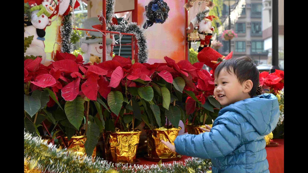 Matthew and Chloe Xmas 2013 (上) - YouTube