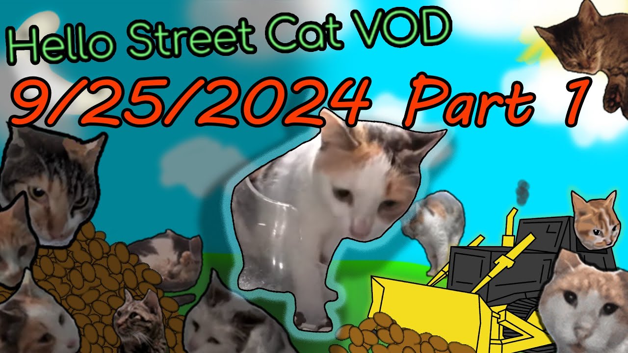 Is Ms. Paint's Fabulous Feast Performance Art?! Hello Street Cat Cute ...