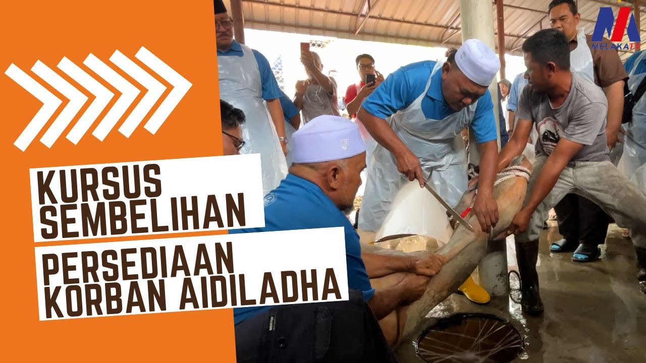 Kursus Sembelihan Persediaan Korban Aidiladha - YouTube