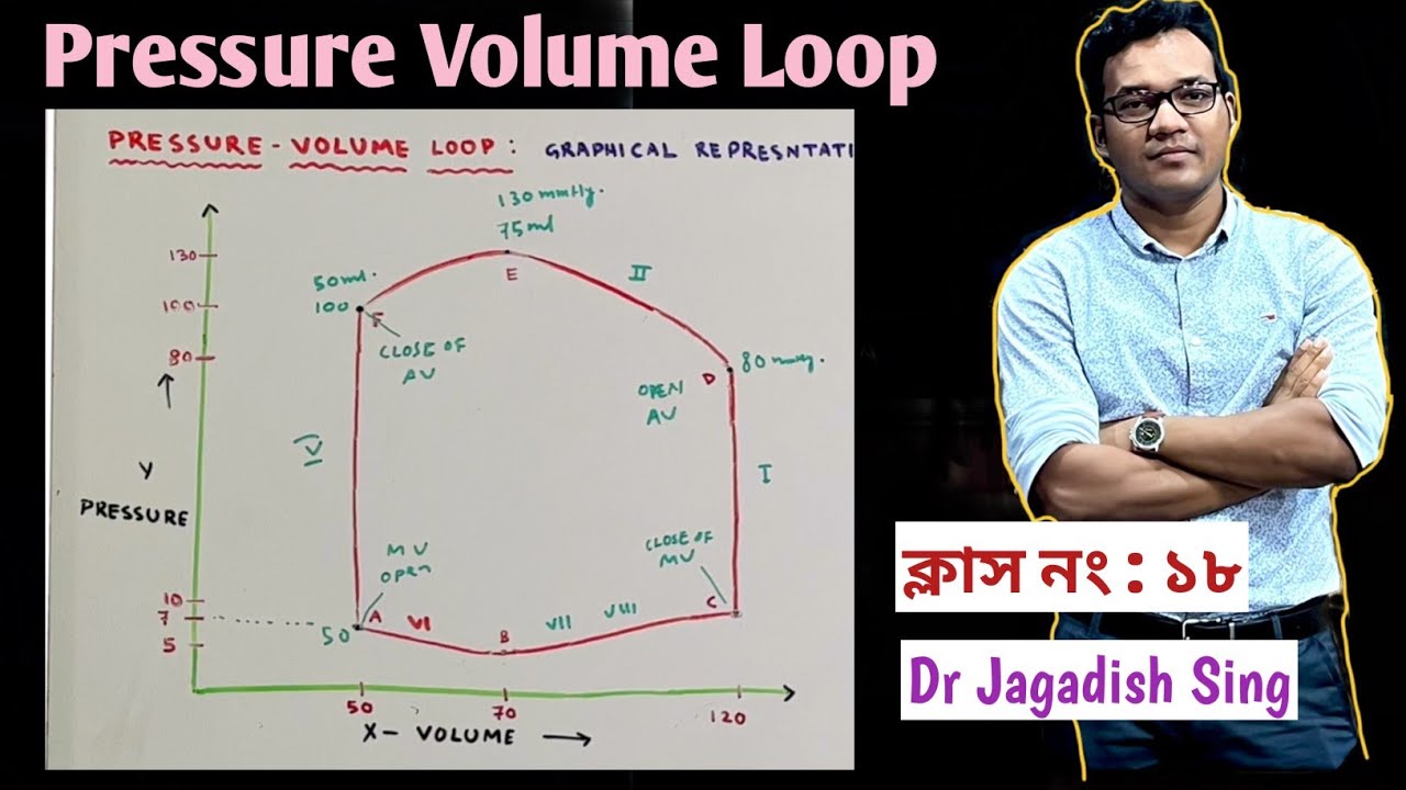 Pressure Volume Loop. - YouTube