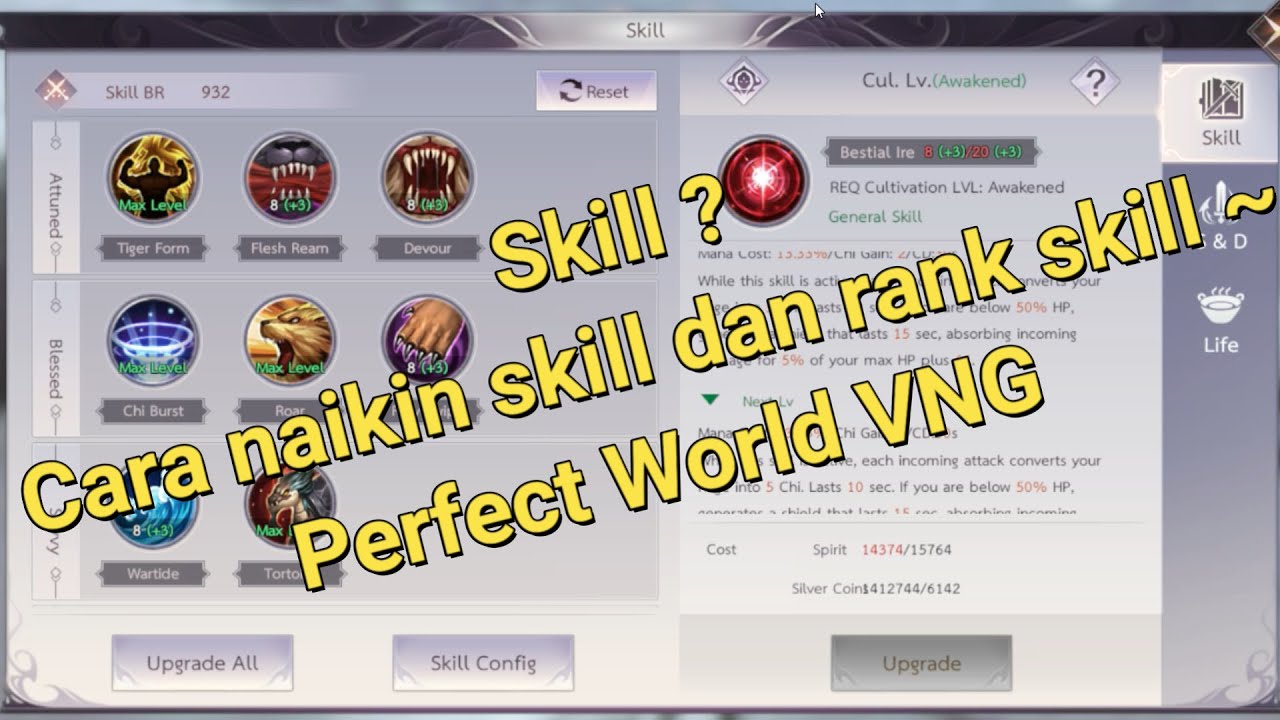 Perfect World VNG Mobile | Skill Guide - YouTube