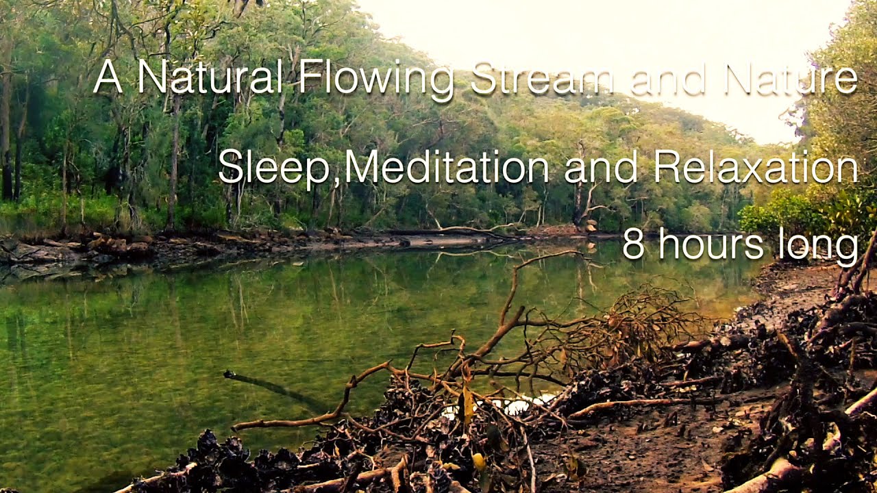 A Natural Flowing Stream, Nature and Native Bird Sounds, Great for ...