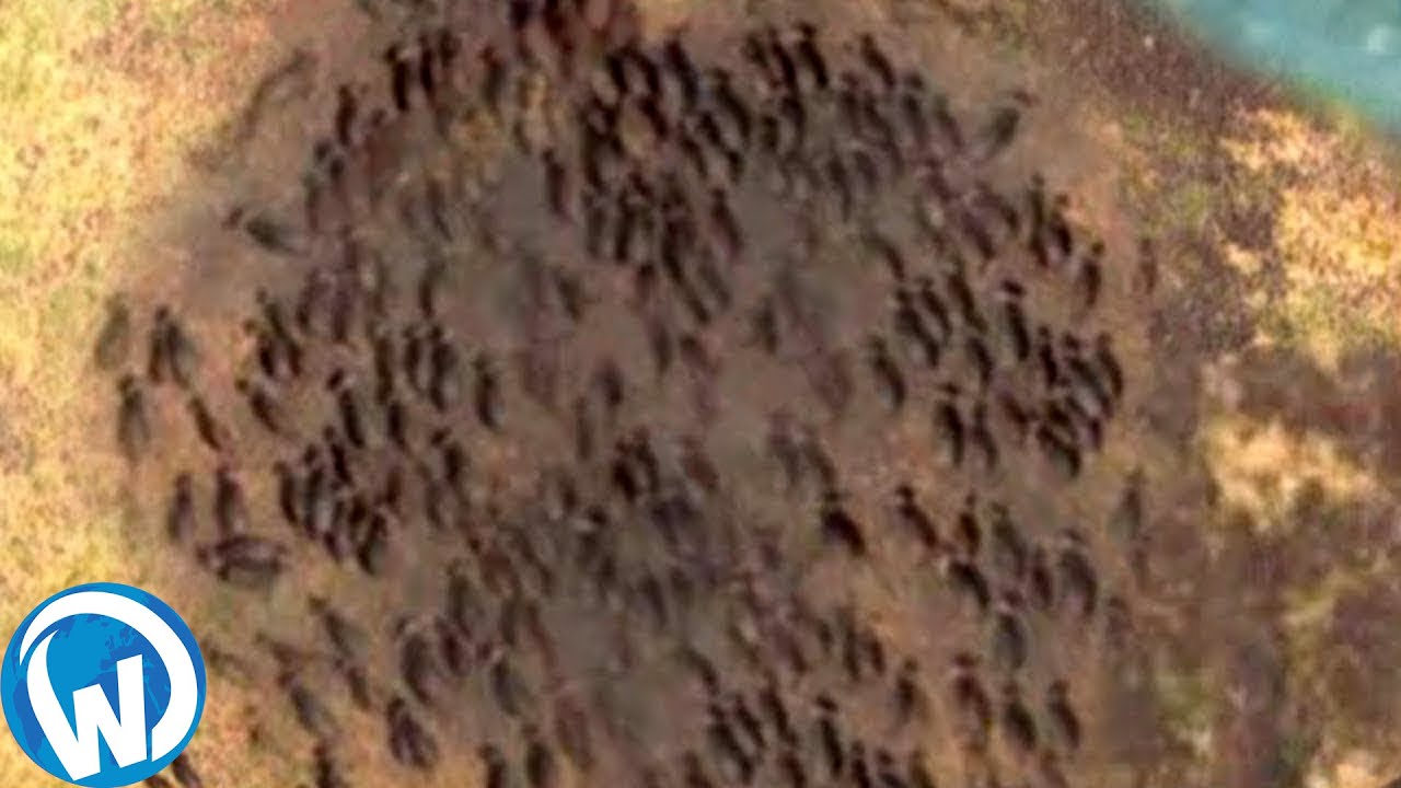 This Discovery On Mars Scared Scientists - YouTube