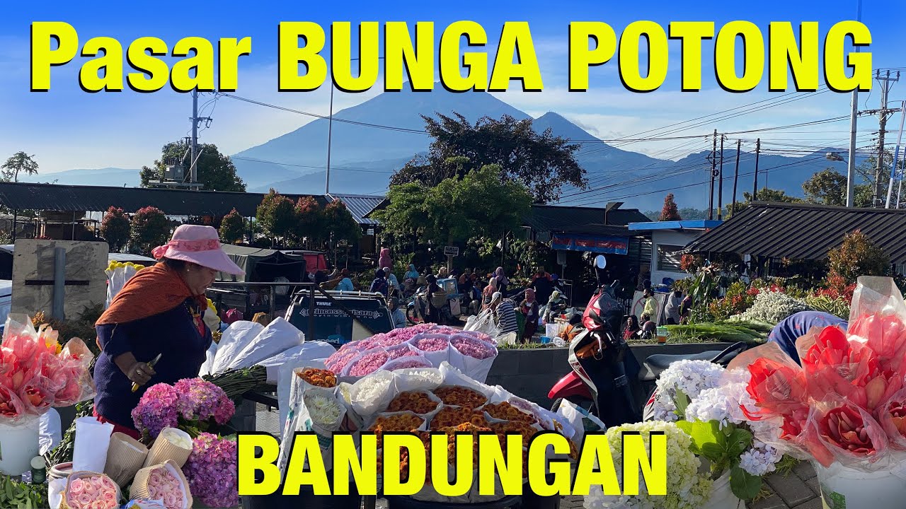 RAMAI SEKALI, JUAL BELI PASAR BUNGA POTONG TERBESAR SE JAWA TENGAH # ...