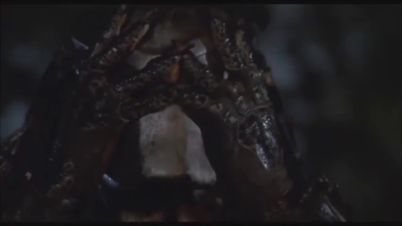 MR. SHREEVE SAYS "HASTA LA VISTA" TO THE YEAR 2020 - YouTube