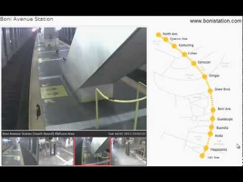 Cat in MRT Boni Station caught on CCTV - YouTube