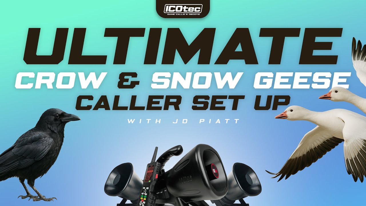 The Ultimate Crow and Snow Geese Hunting Set Up from ICOtec - YouTube