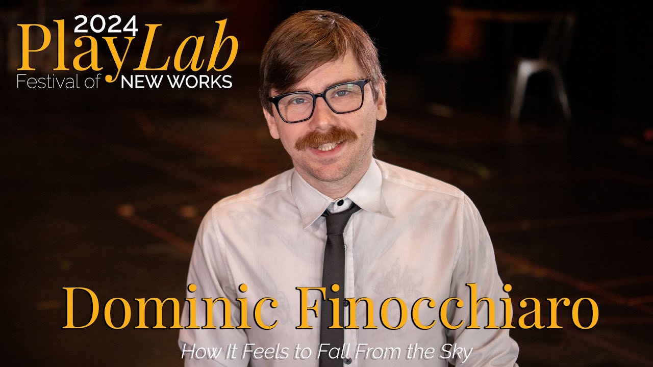 Dominic Finocchiaro | How It Feels to Fall From the Sky | Florida Rep's ...