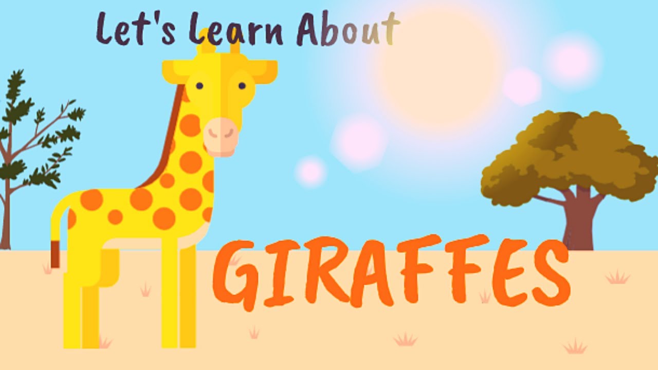 Let's Learn About Giraffes! - YouTube