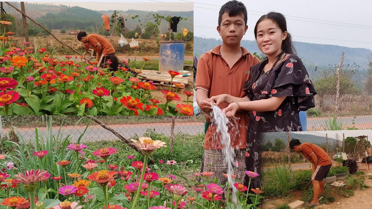 kuv tu niam tsev wb tu yij hli nkawv lub vaj - YouTube