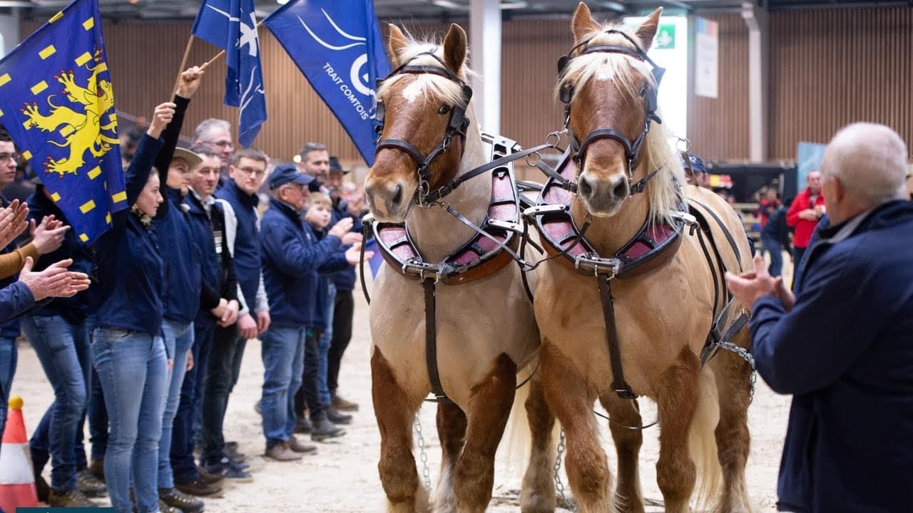 Épreuve de Traction SIA 2024 - YouTube