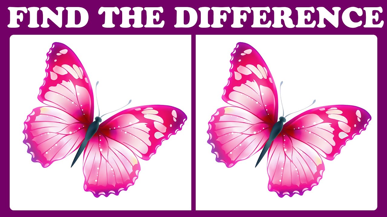 Guess Photo Puzzles Spot the Difference Brain Games World Riddles ...