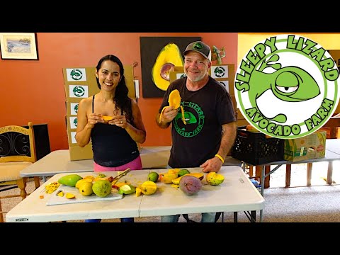 Sampling Summertime Mango Varieties - YouTube