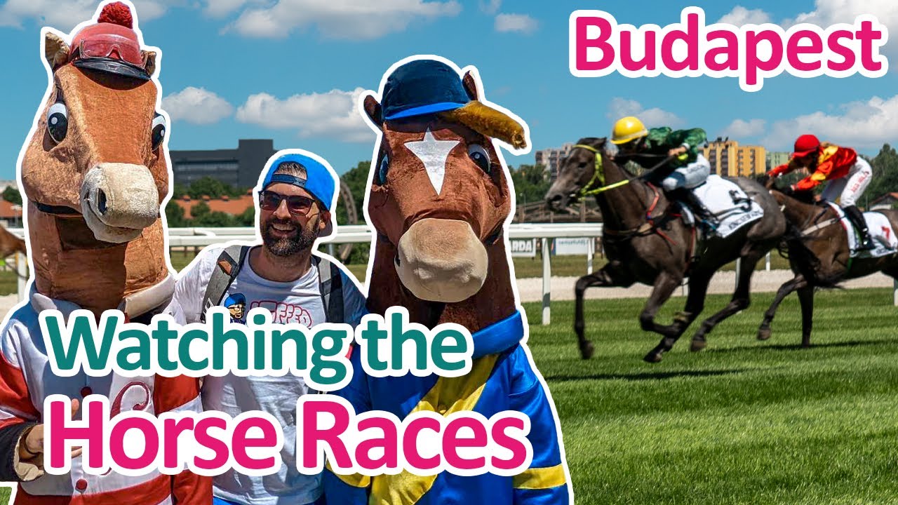 Unique Places in BUDAPEST: Horse Races at Kincsem Park | Hungary Travel ...