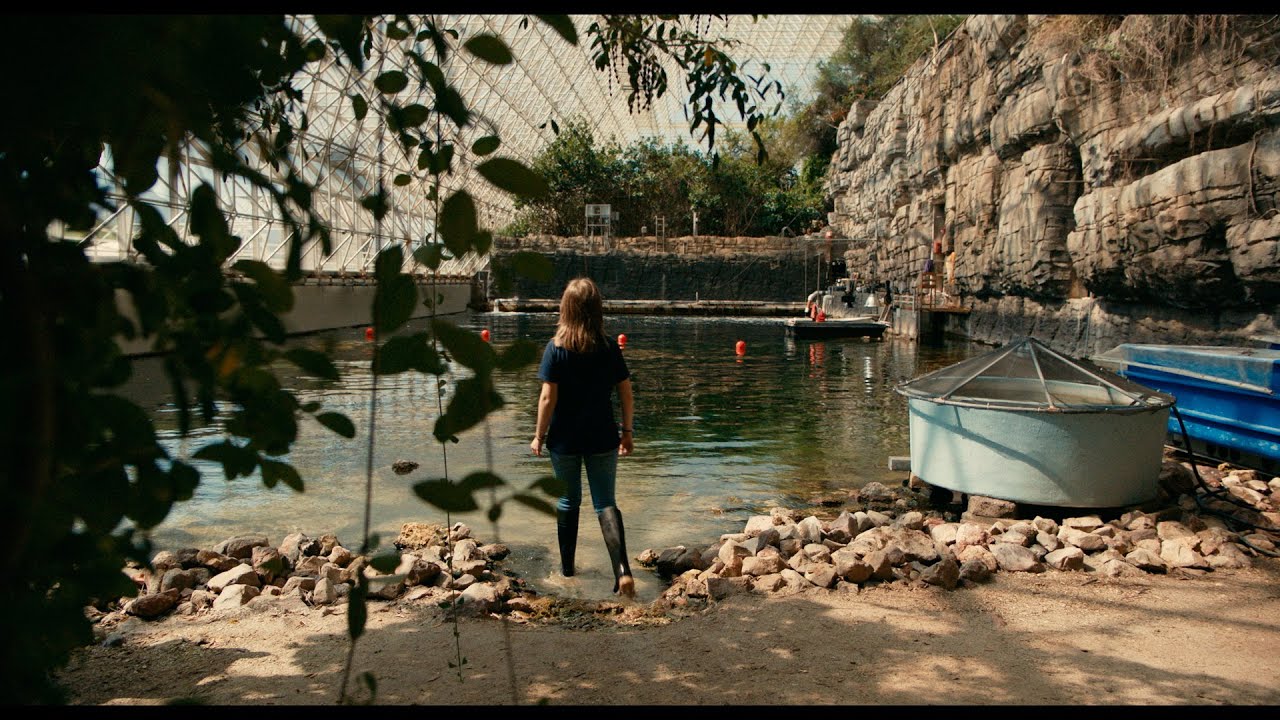 Wonder Makes Us Save Oceans | University of Arizona Biosphere 2 ...