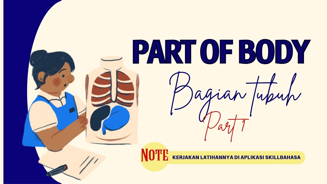 Vocabulary - Body - part of the body - outside - Learn English ...