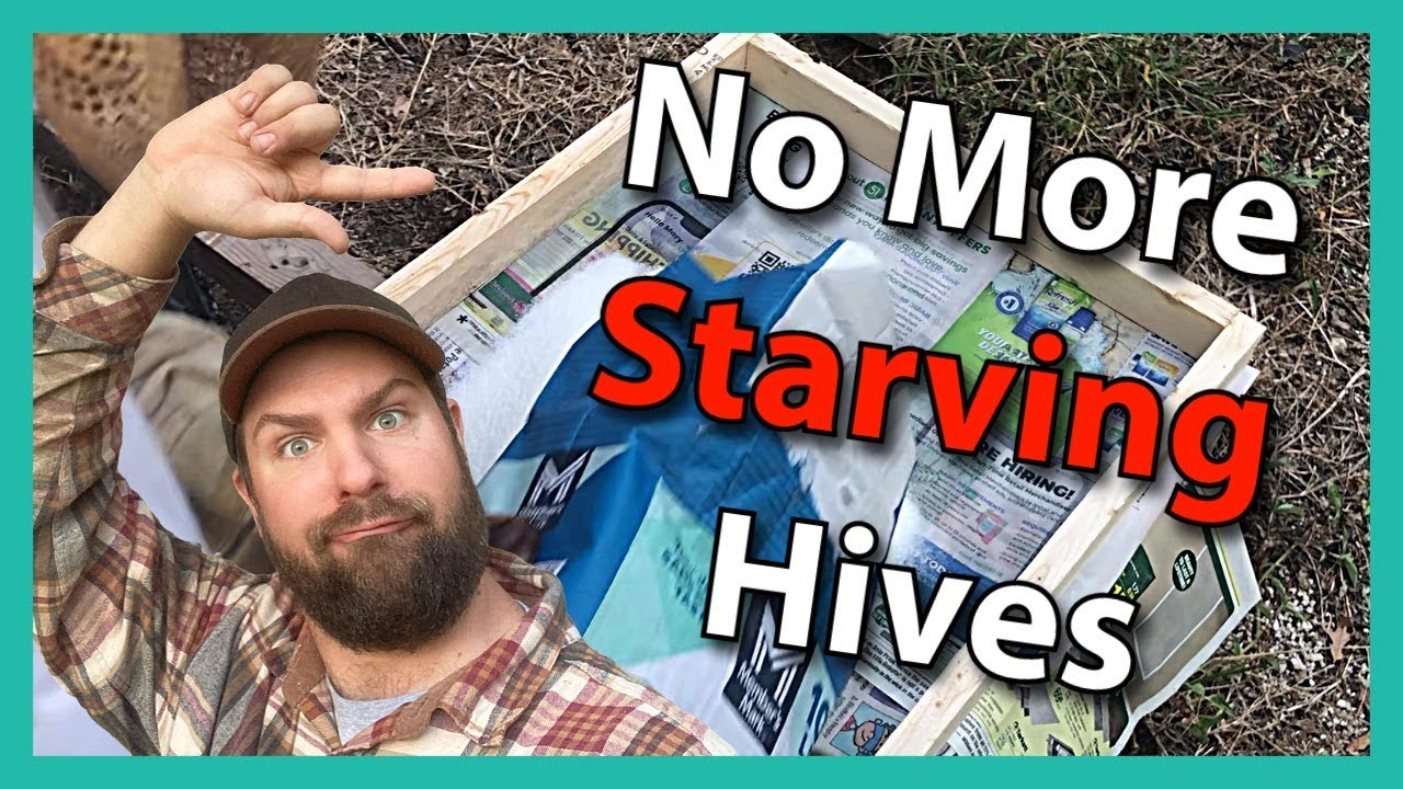 Winter Sugar Box for Bees | Stop Starvation & Condensation in Your Hive ...