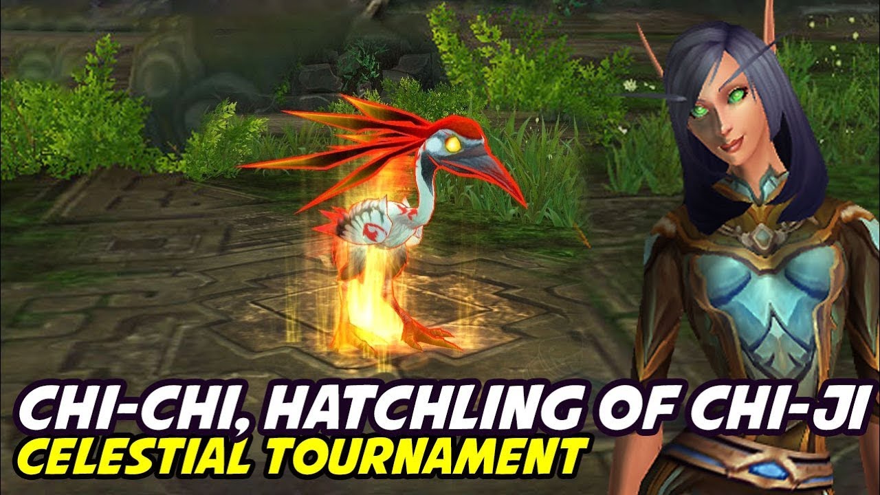 Chi-Chi, Hatchling of Chi-Ji - Celestial Tournament - YouTube