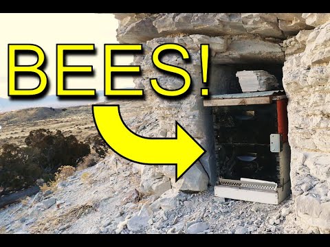 Chicken Hole Base Ep. 7: Bees in the Hole! - YouTube