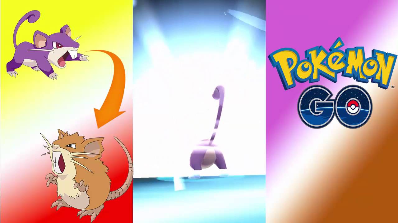 Pokemon GO | Rattata evoluciona a Raticate - YouTube
