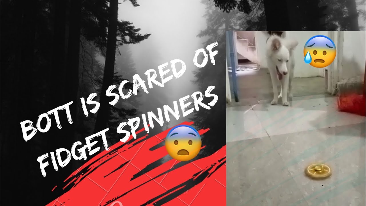 Bot is afraid of fidget spinner 😰😰🥶 - YouTube