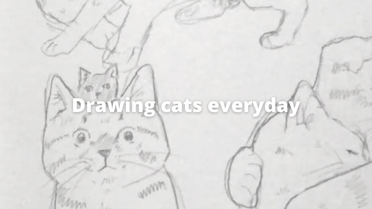 Day 88: Drawing one page of cats everyday - YouTube