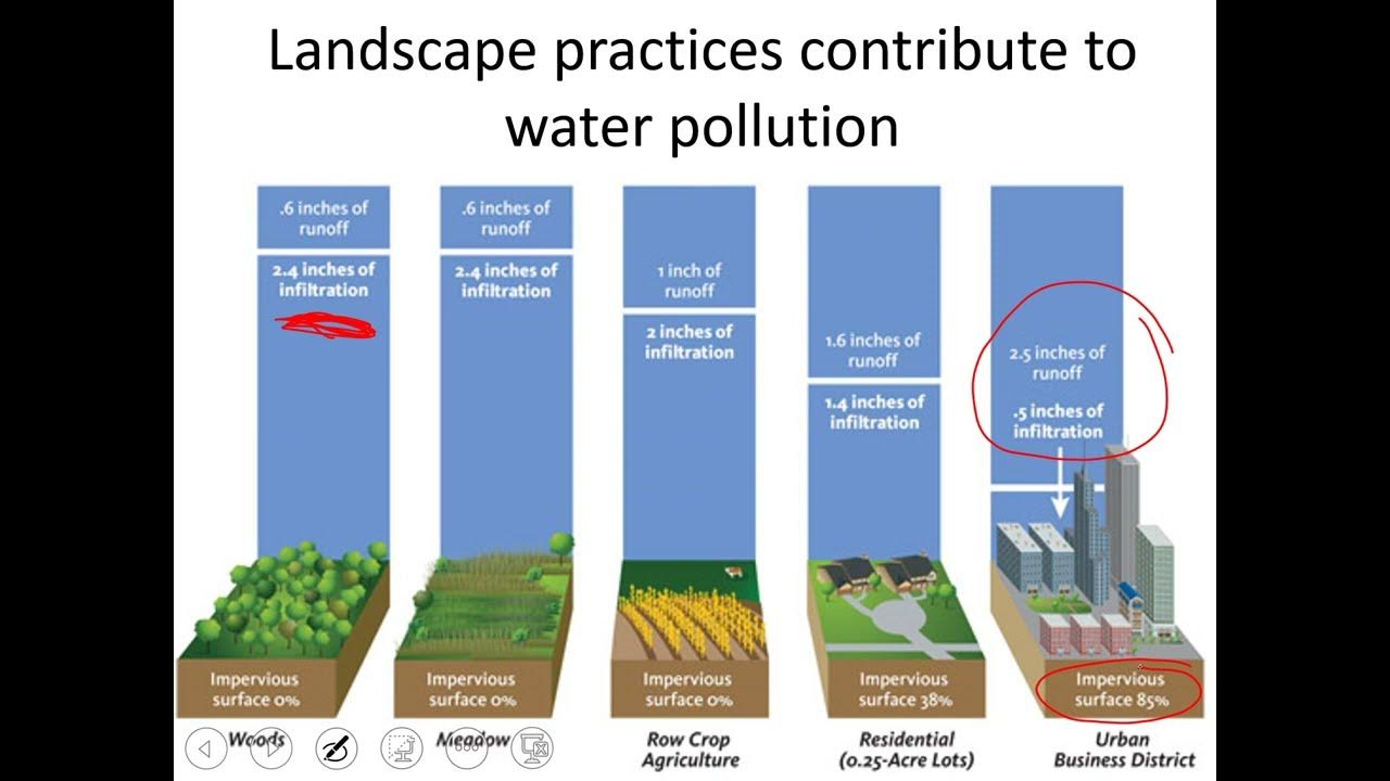 5 VIDEO Human Population Dynamics & Resource Consumption Unit1 Topic5 ...