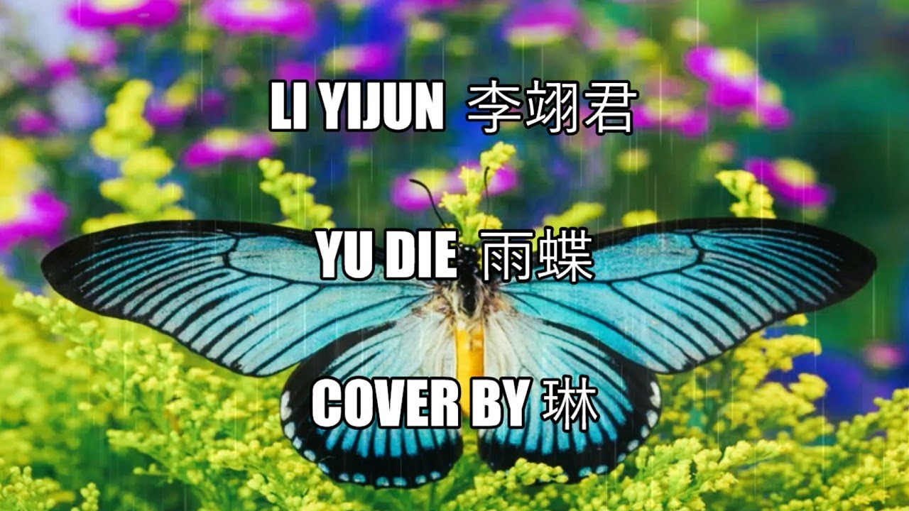 Li Yijun 李翊君 Yu Die 雨蝶 Cover by 琳 - YouTube
