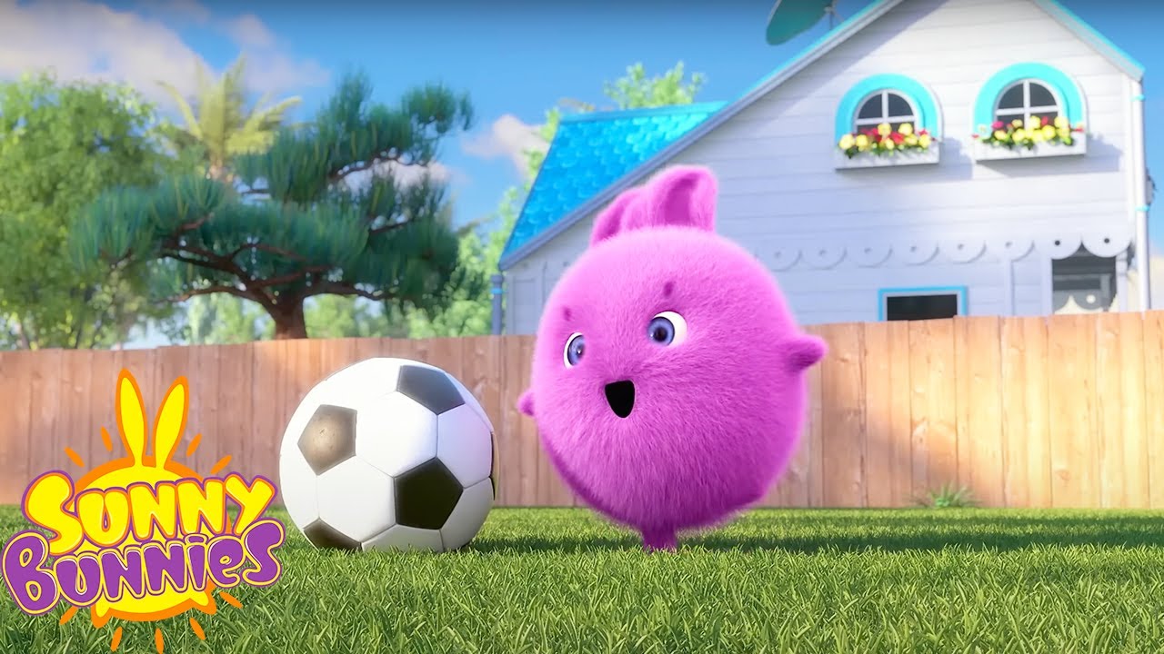 SUNNY BUNNIES - Rainbow and Football | BRAND NEW EPISODE | Season 8 | Cartoons for Kids - YouTube