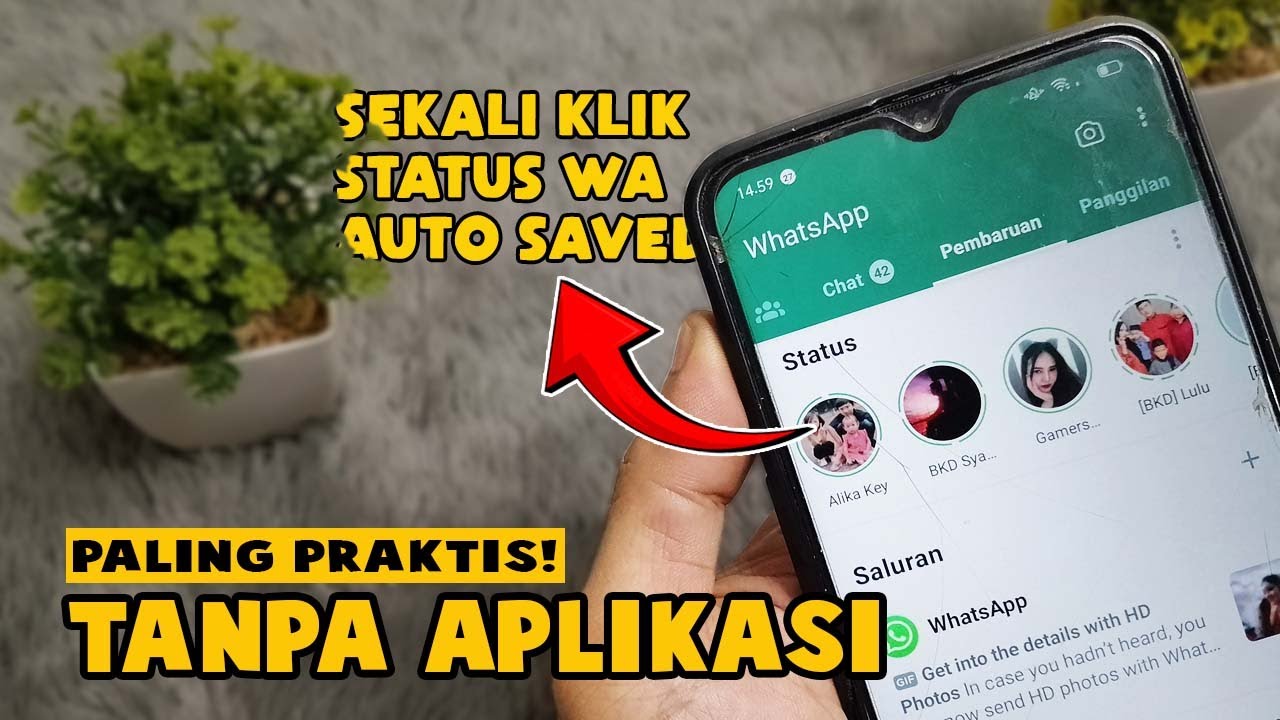 Cara Download Status WA Orang Lain Tanpa Aplikasi | BKD tutorials - YouTube