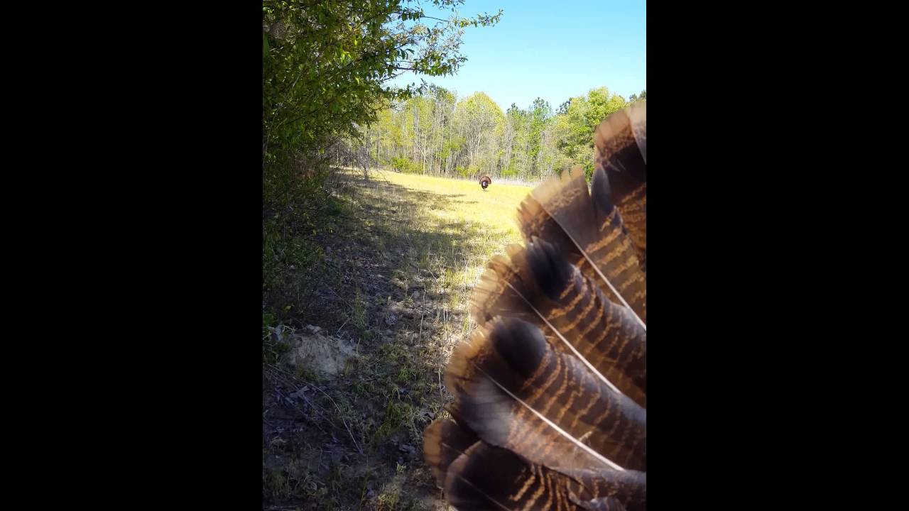 Backwoods Trophy Outfitters - YouTube
