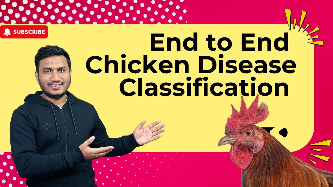 End to End Chicken Disease Classification | Deep Learning Project Implementation - YouTube
