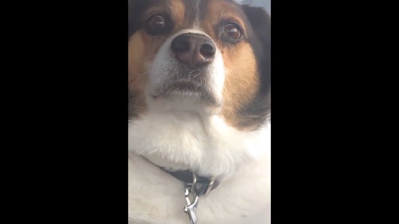 Unusual Meme Compilation | Dank Funny Videos & Try Not to Laugh #01 ...