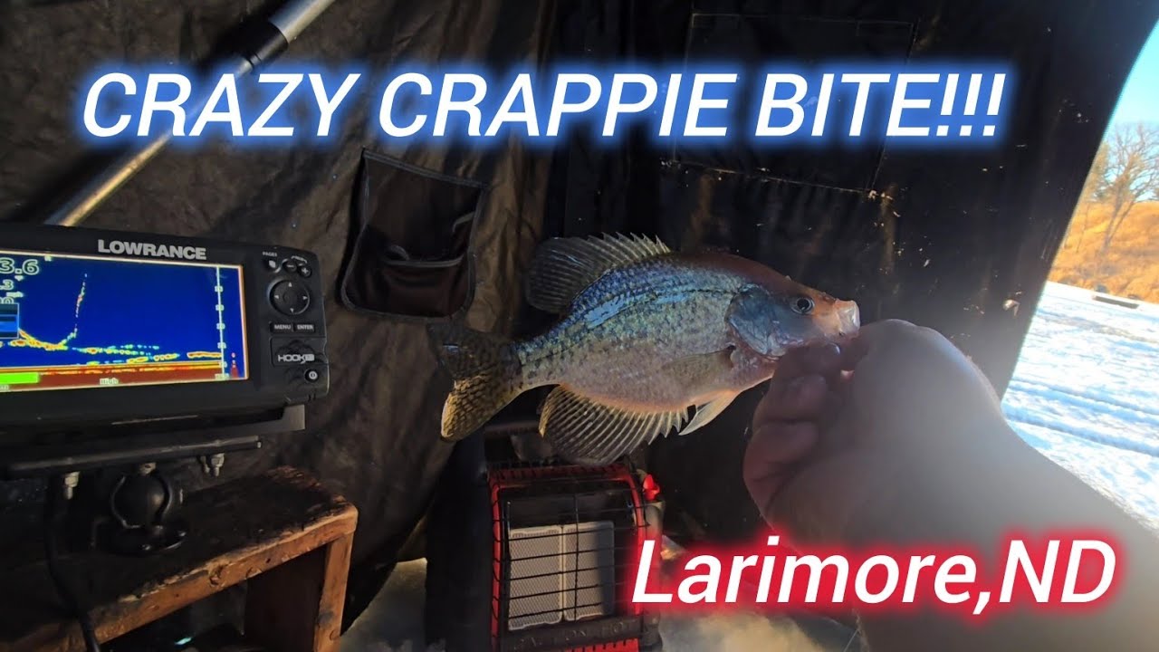 Crazy Crappie!!! #fishing #northdakota #crappie #walleye #viral - YouTube