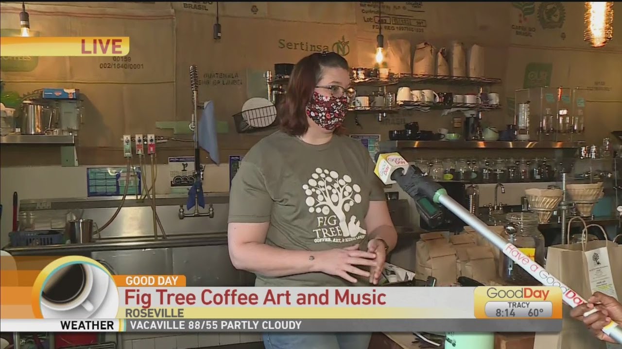 The Fig Tree Coffee Art and Music Lounge - YouTube