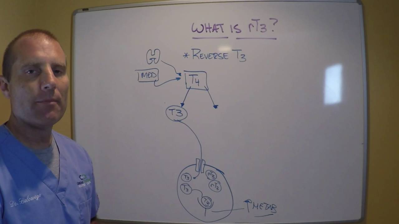 TTE25 Reverse T3 Part 1 What is rT3? - YouTube