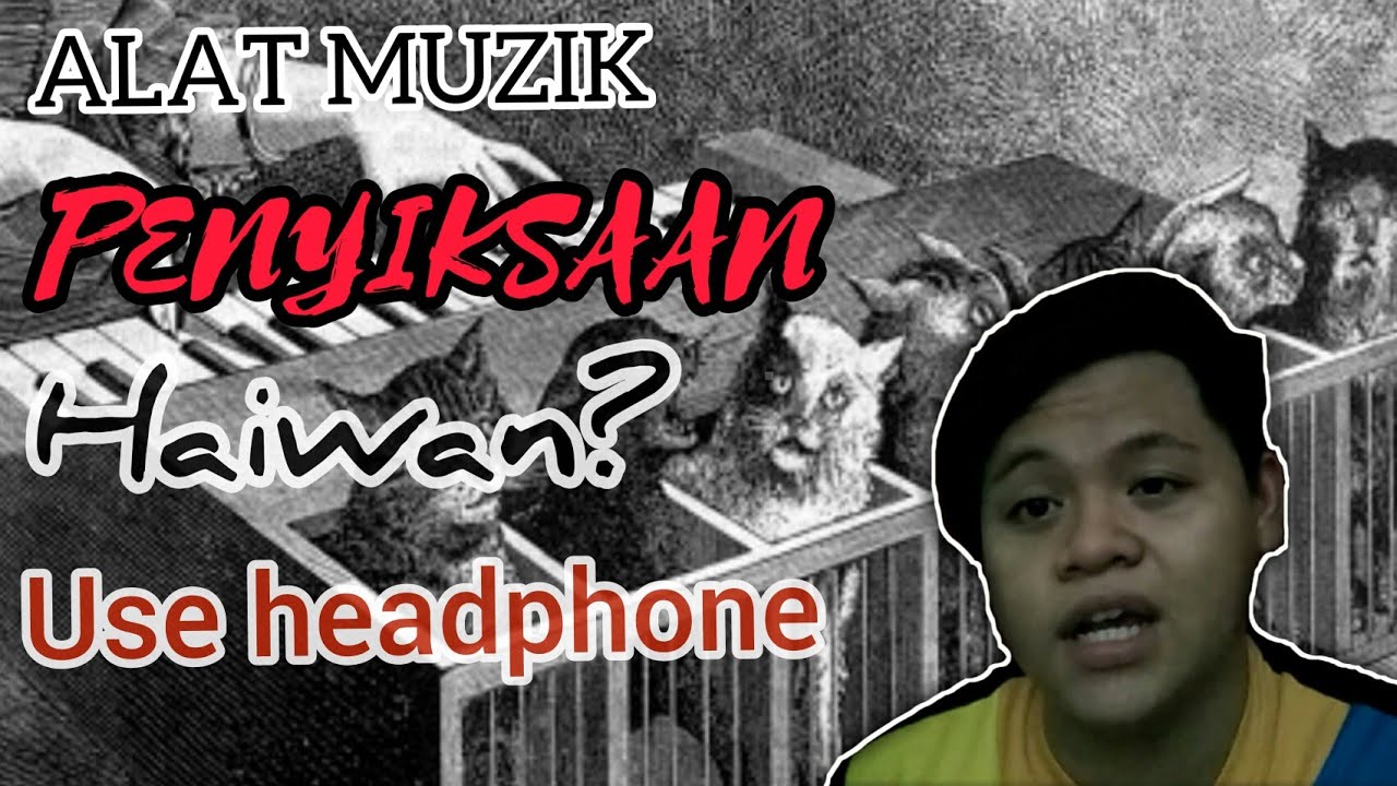 KATZENKLAVIER¦ALAT MUSIK SIKSA HAIWAN!!!! - YouTube