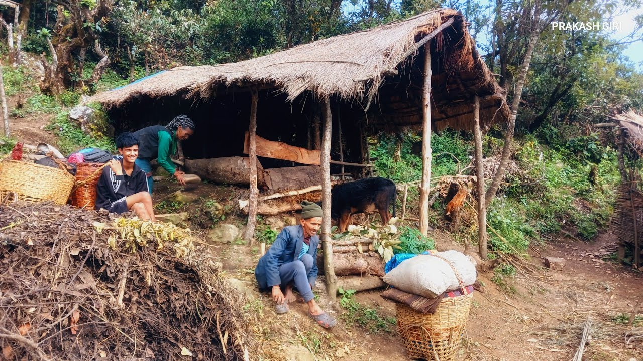 Most Beautiful And Peaceful Himalayan Mountain village lifestyle | Dely ...